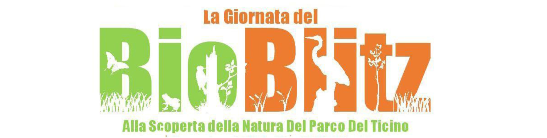 Bioblitz Lombardia - Associazione Naturalistica Codibugnolo